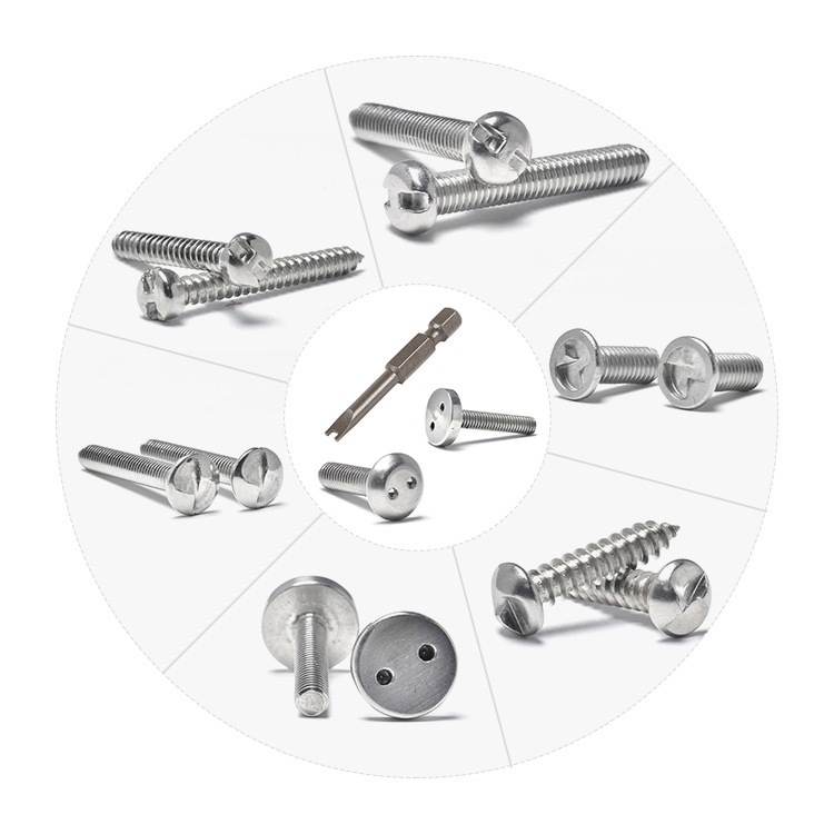Stainless Steel 304 Security Screw Snake Eye Two Holes Pig Nose Screw ...