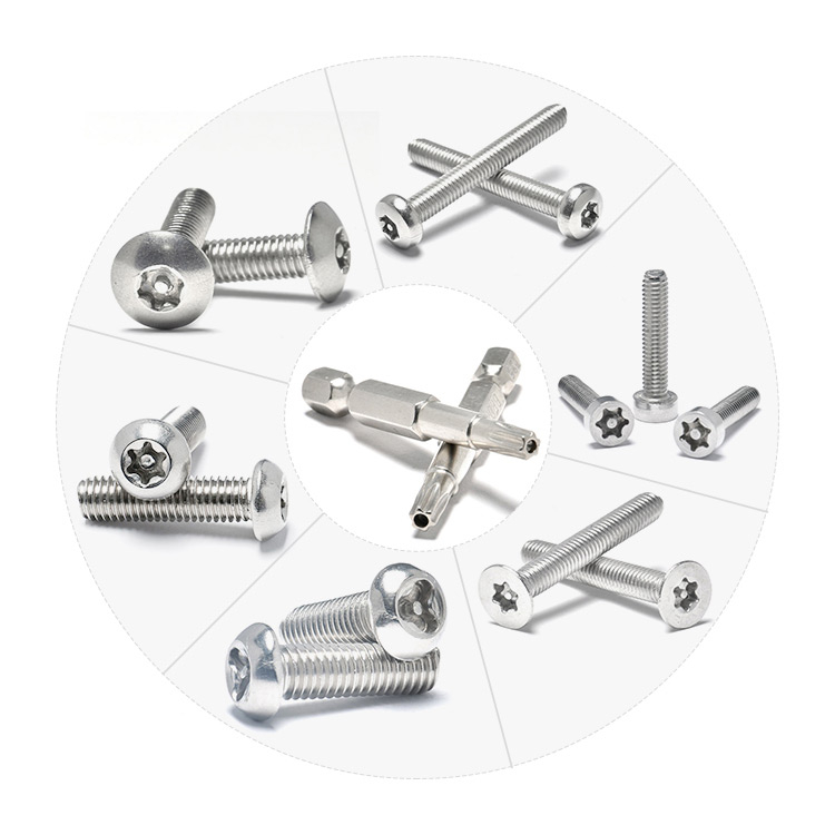 Stainless Steel 304 Security Screw Snake Eye Two Holes Pig Nose Screw ...