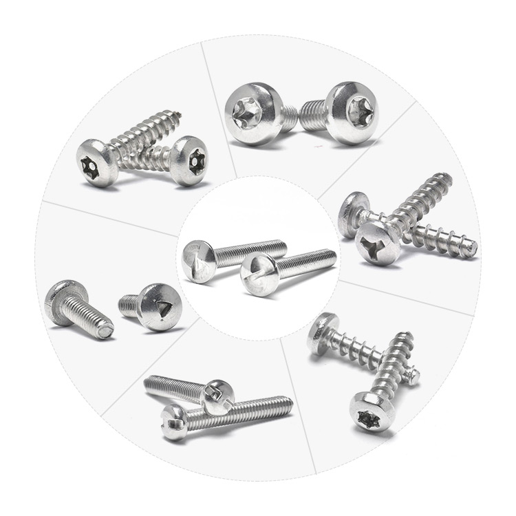 Stainless Steel 304 Security Screw Snake Eye Two Holes Pig Nose Screw ...