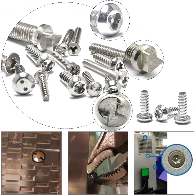 Stainless Steel 304 Security Screw Snake Eye Two Holes Pig Nose Screw ...
